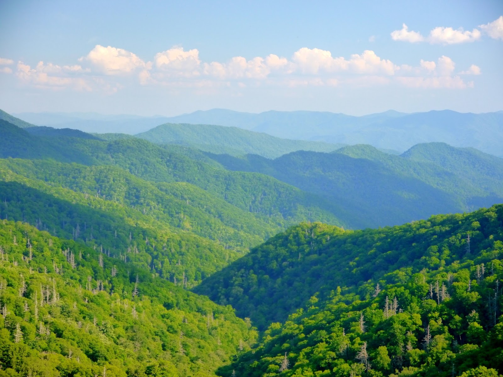 American Travel Journal: Scenic Views from Overlooks on Clingmans Dome ...