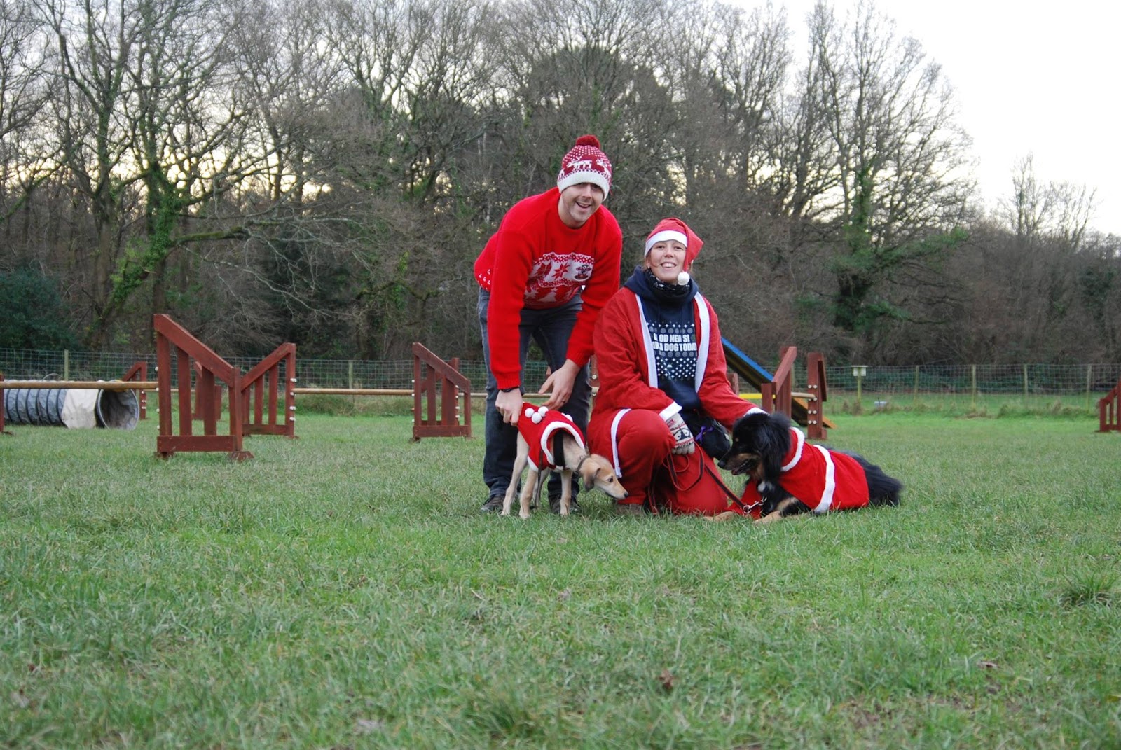 The Truth About Nats & Dogs