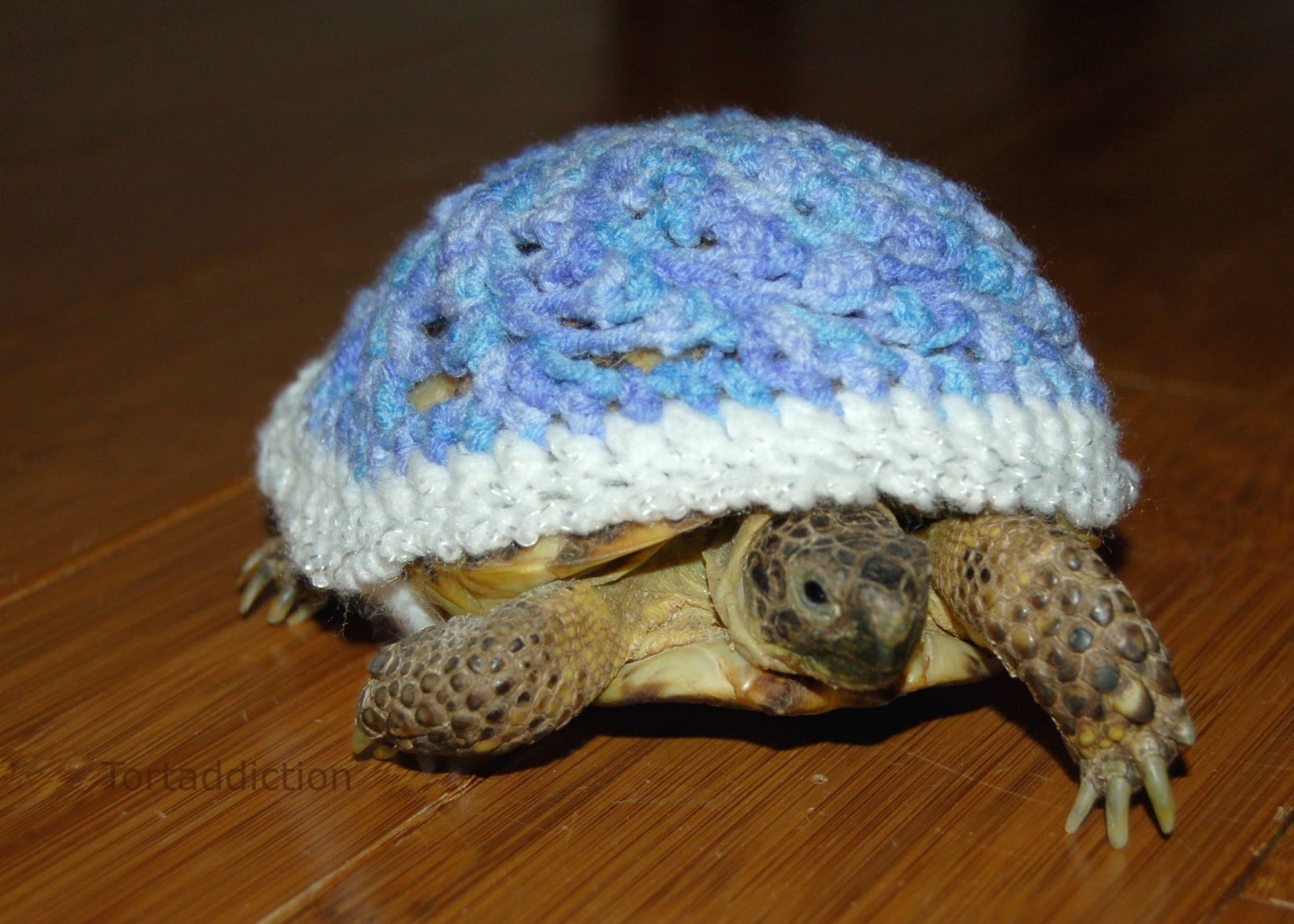 Tortaddiction: Mossy Tortoise Etsy shop is now open!