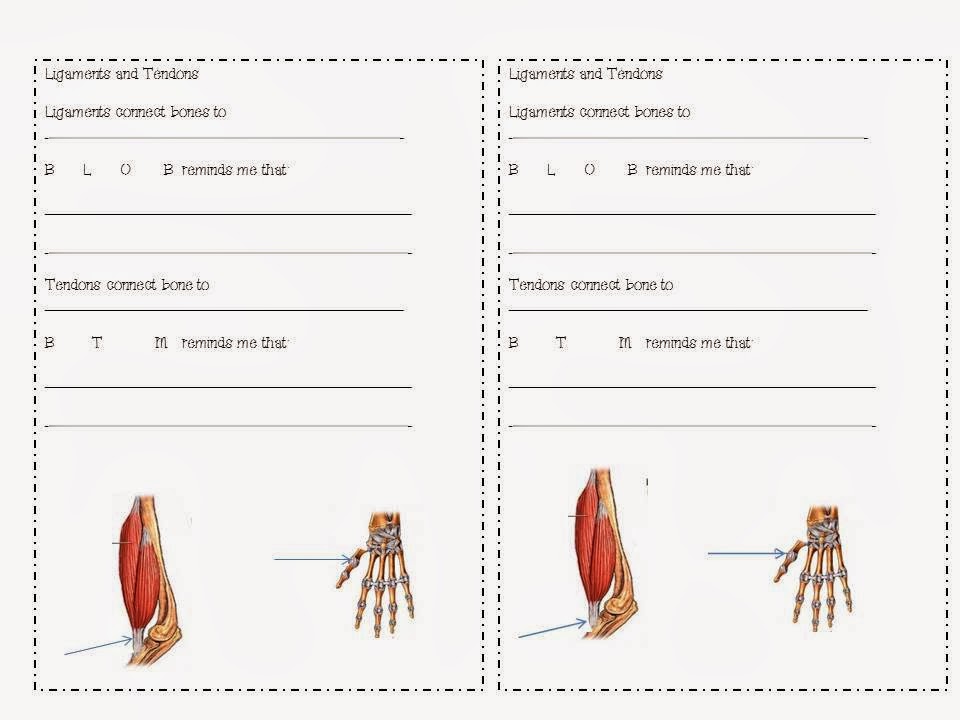 FOSS Friday - The Science School Yard
