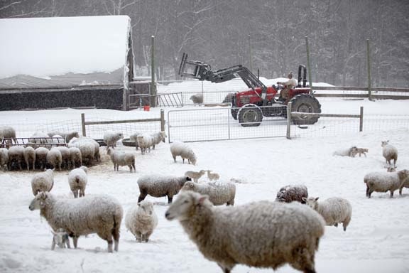 Getting Stitched on the Farm: Storm Photos - 174 and Counting