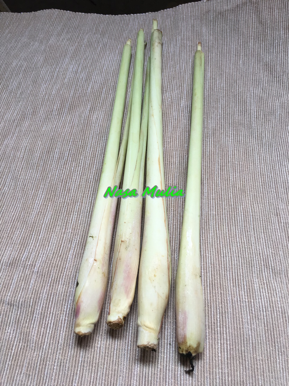 warna warni hidupku..............: Jom Kenali Pucuk-Pucuk / Herba ...