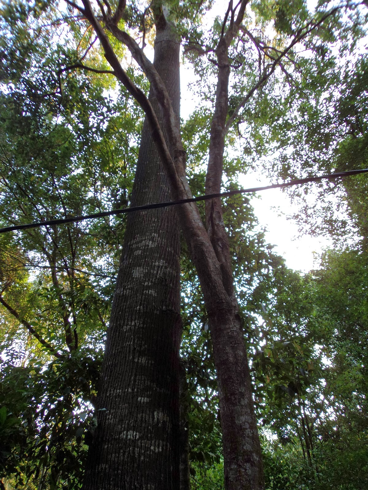 Ibi Benefici Locus Est: March 2014