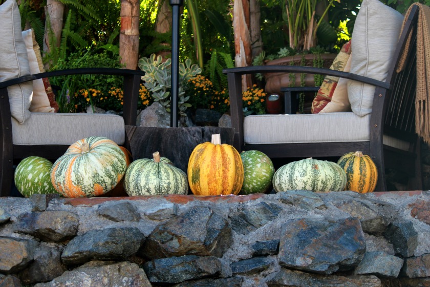 Tamera Beardsley: Fast and Easy October Decor
