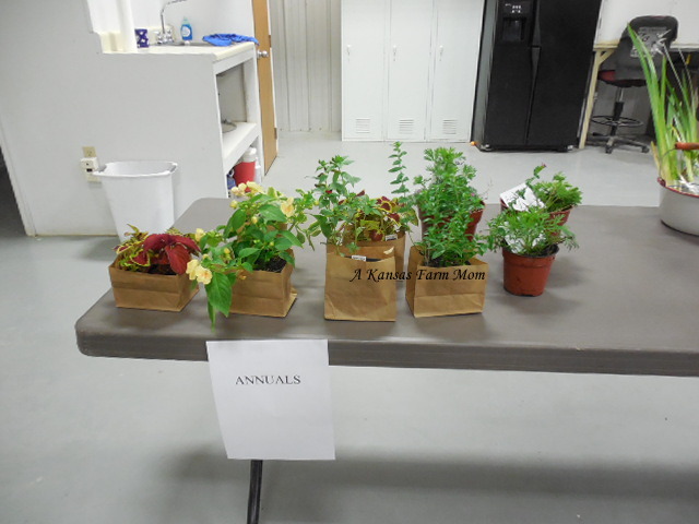 Tales of a Kansas Farm Mom: Plant Exchange Selections