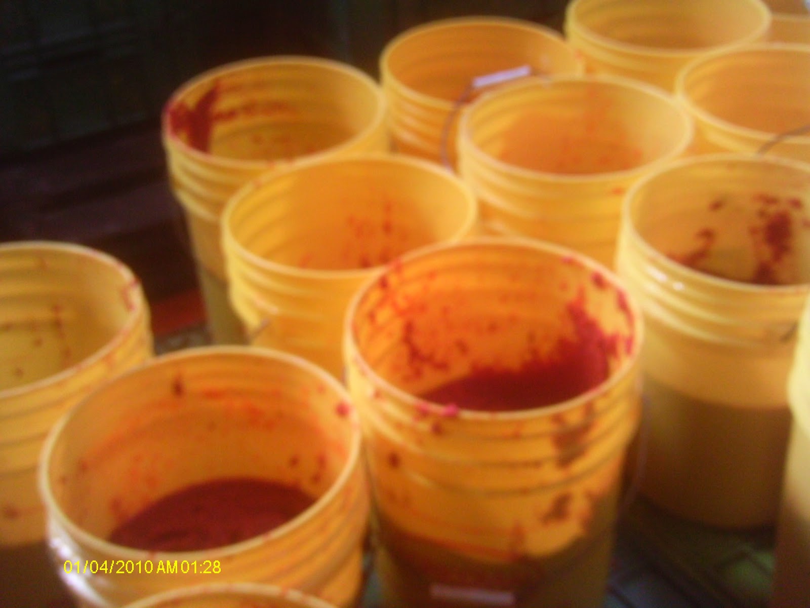 Alex Josowitz's Plus3 Chile Experience: May 14: Tools, Tomatoes, and ...