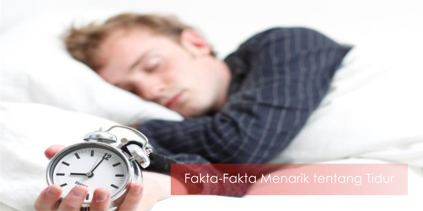 Fakta Unik Tentang Tidur Yang Jarang Diketahui, Wajib Baca Agar Tidurmu ...