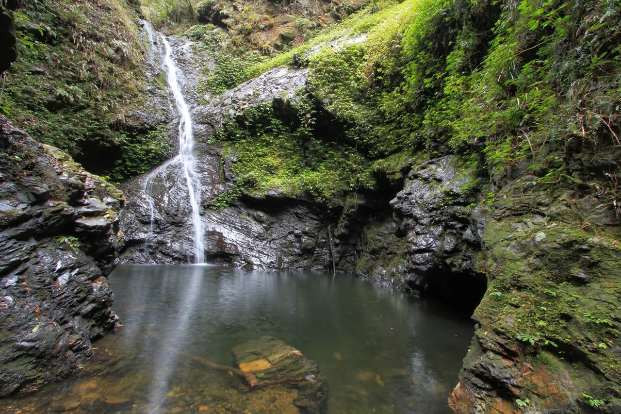 awildland: Never Never River - Dorrigo National Park