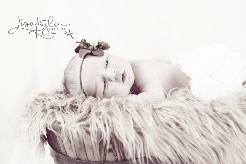 Lisa Taylor Studios | Utah Photographer
