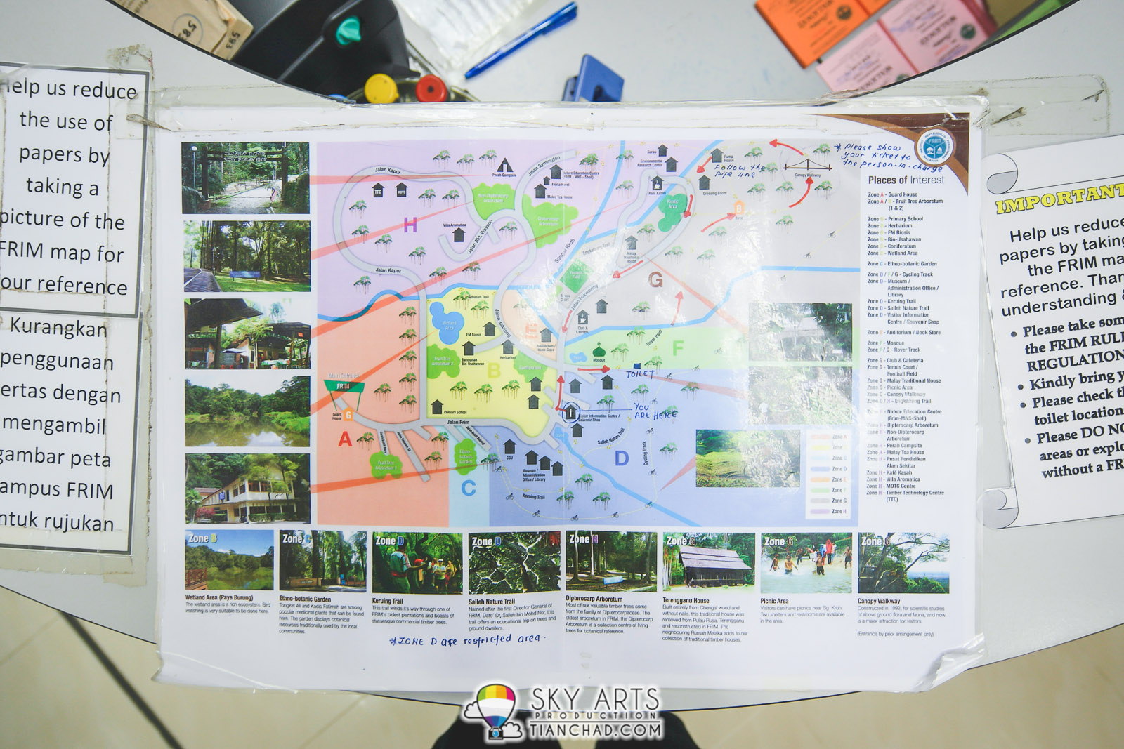 7 Things To Do In FRIM Kepong - Canopy Walkway, Jogging & Nature Trekking