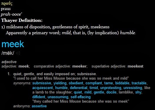 All for the Glory of Christ: Blessed are the Meek