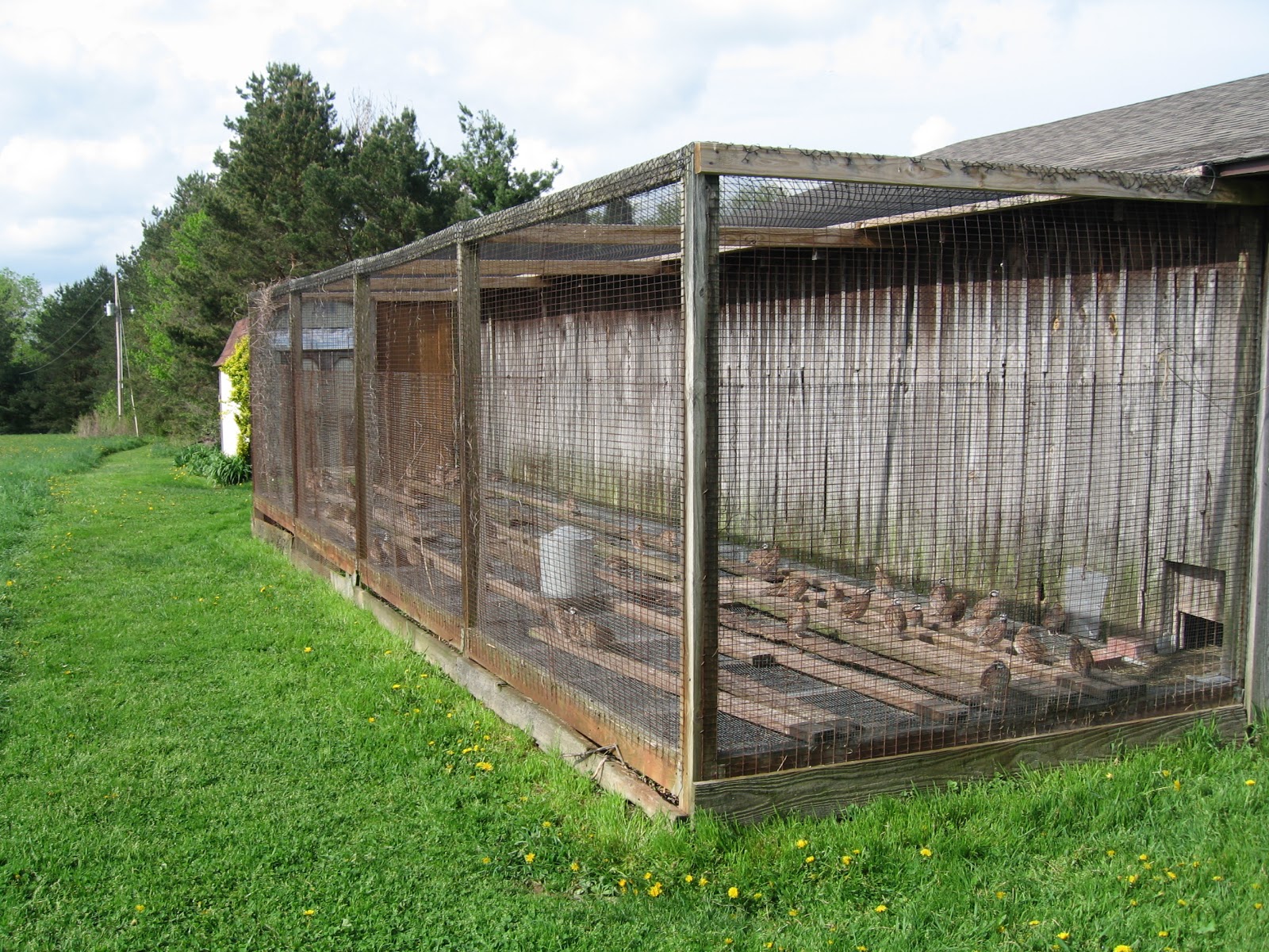 All Seasons Outdoors: Spaniel Clinic Photos.