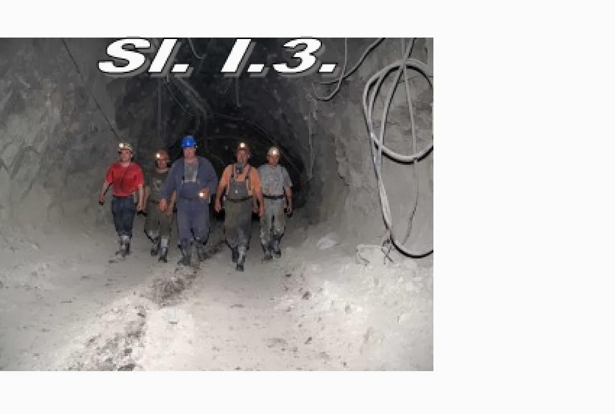 borovizija: IZVODLJIVOST DOBIJANJA RETKIH ELEMENATA I INDUSTRIJSKIH ...