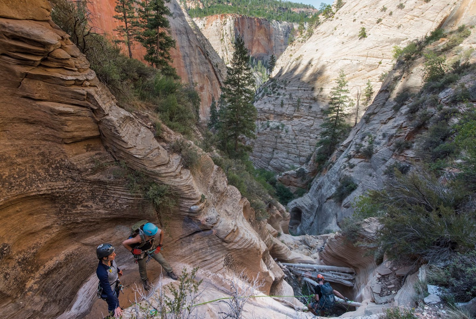 CHECKERBOARD CANYON 3BIV. ZION NATIONAL PARK - ADAM HAYDOCK