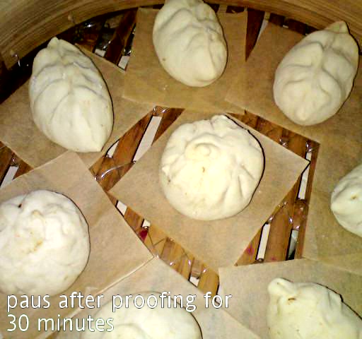 Cooking Pleasure: EZ Soft Steamed Pau