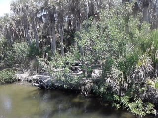 Southwest Florida Shoreline Studies: Learn about Florida's Gulf Coast ...