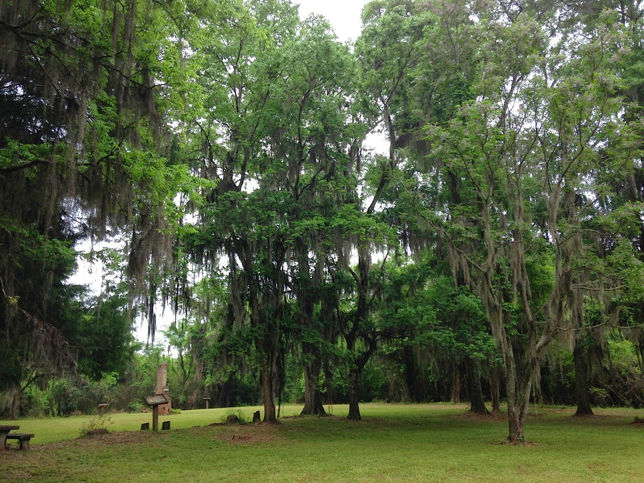 Anne Tolbert Woodbury Genealogy and Observations: Romulus Tolbert's ...