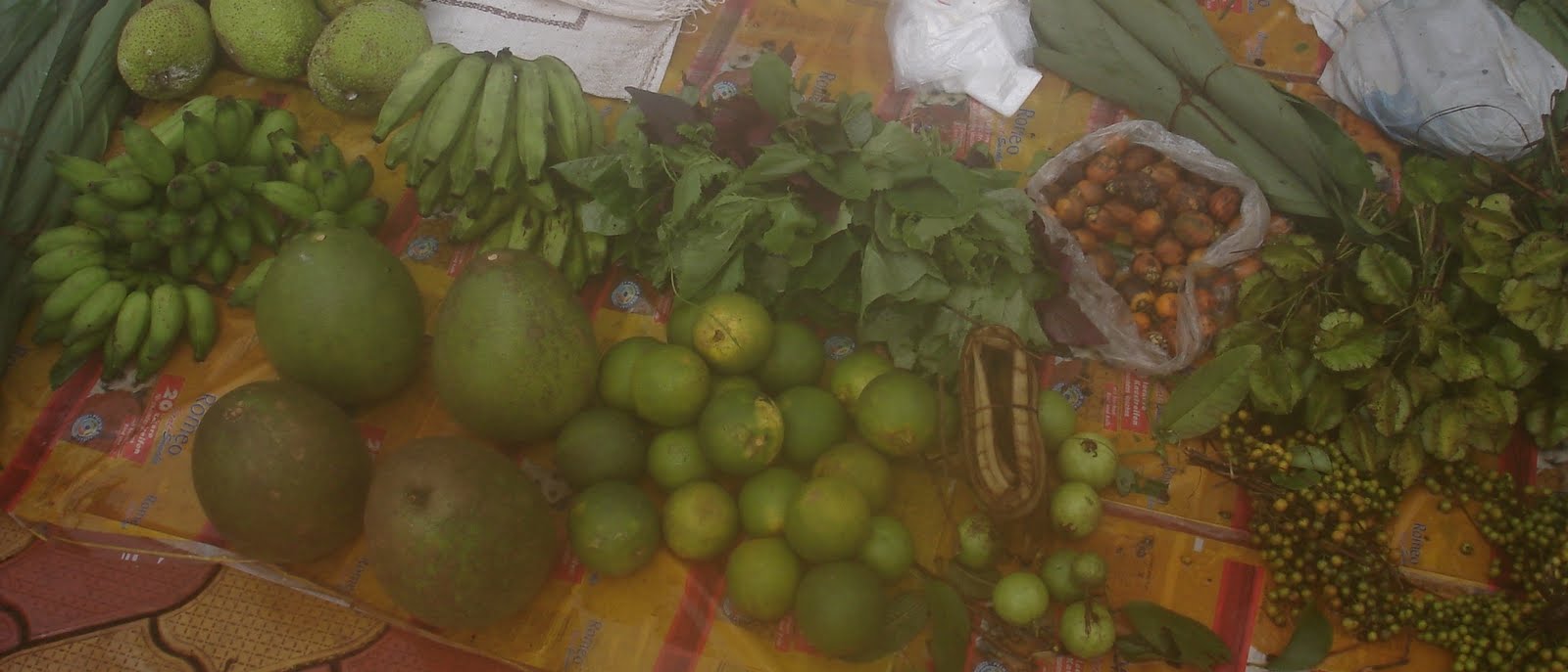 THE VALLEY OF WORDS: THE MAKING OF THE MATOLLI