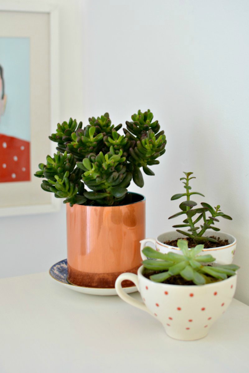 diy | copper planter — Caroline Burke | Burkatron
