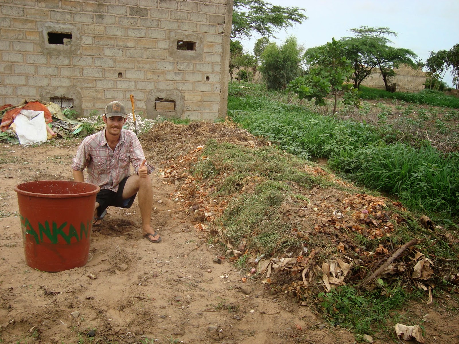 Soil & State: Upland rice / Progress on composting project