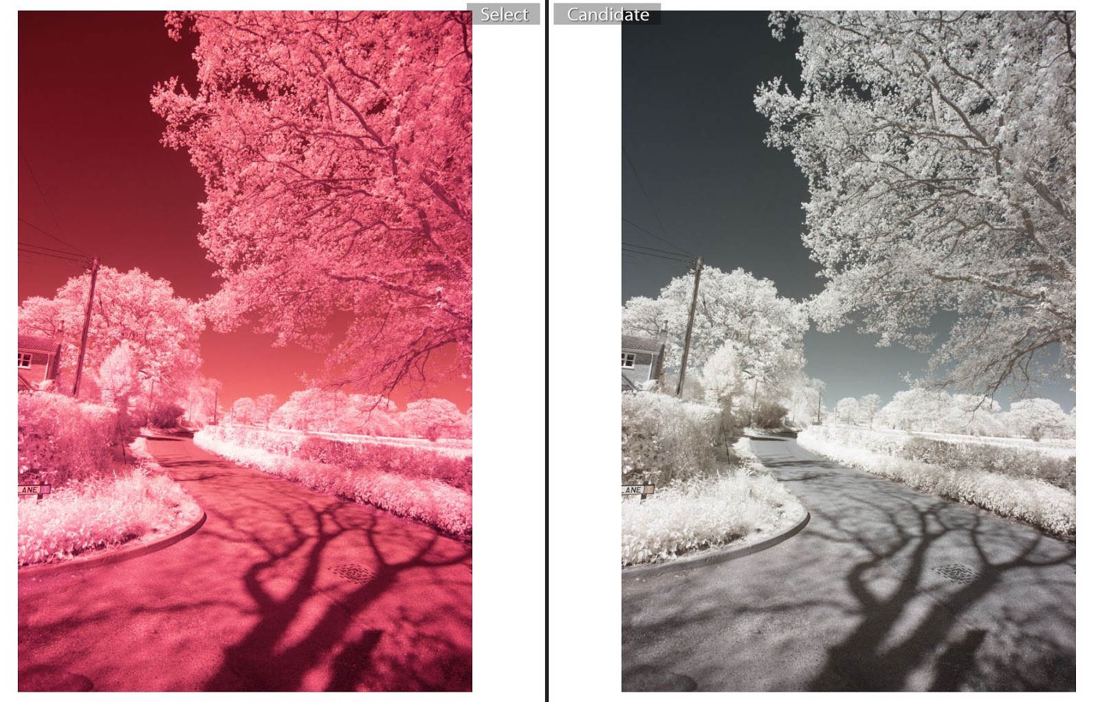 Grayheron Photography: Lightroom just got better…for IR photography