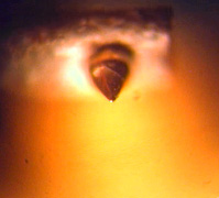 CARTRIDGE SPOTLIGHT - AUDIO TECHNICA at554Sa aka AT12Sa SHIBATA ...