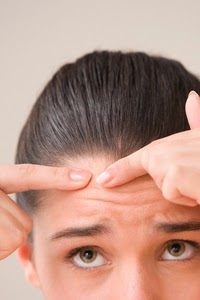 @onenac: ¿Cuál es el ciclo de vida de un barrito?