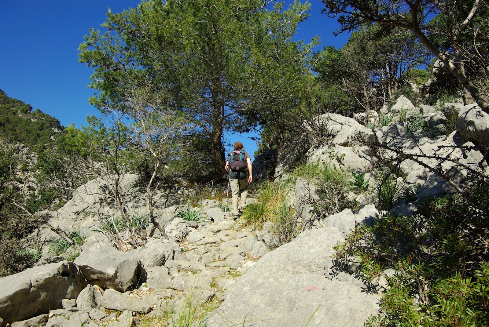 TRESQUES PER TRAMUNTANA: ES CASTELLOT