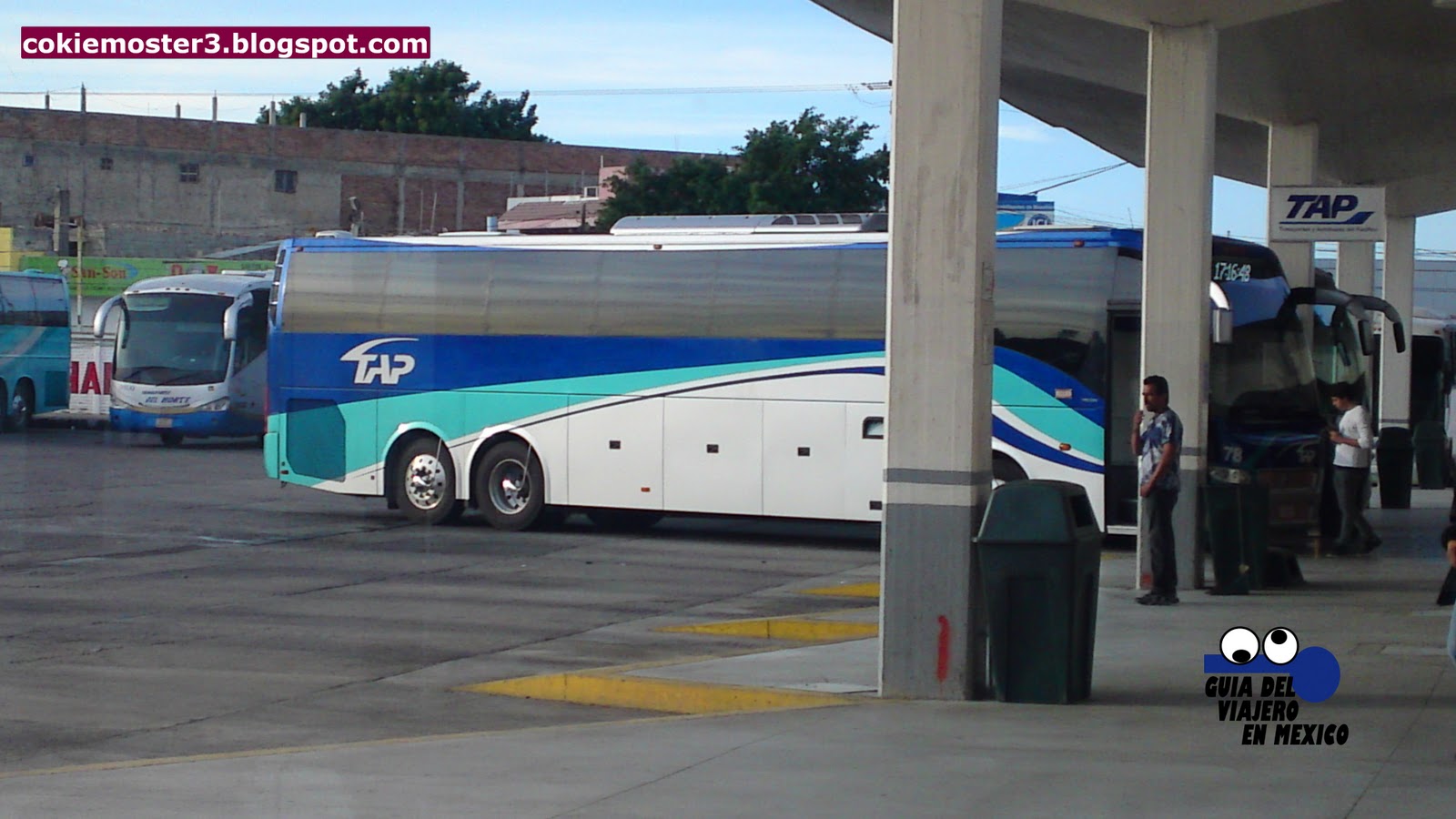 Transportes Publicos: TAP