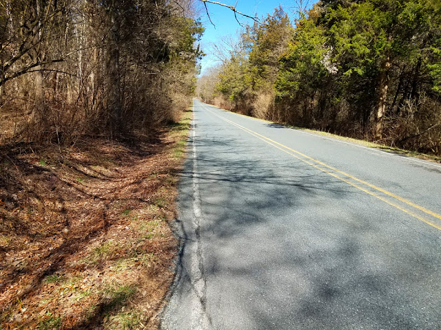 Hiking Trails in NJ and PA: Hiking the Van Campens Glen Trail