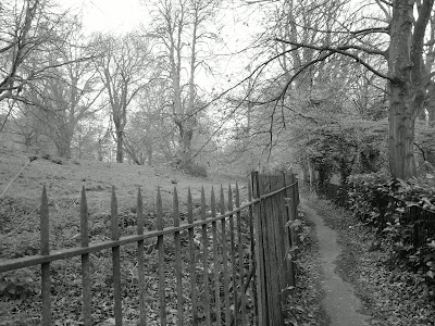 justthoughtsnstuff: early walk, jo pullen's tree, julian fellowes ...