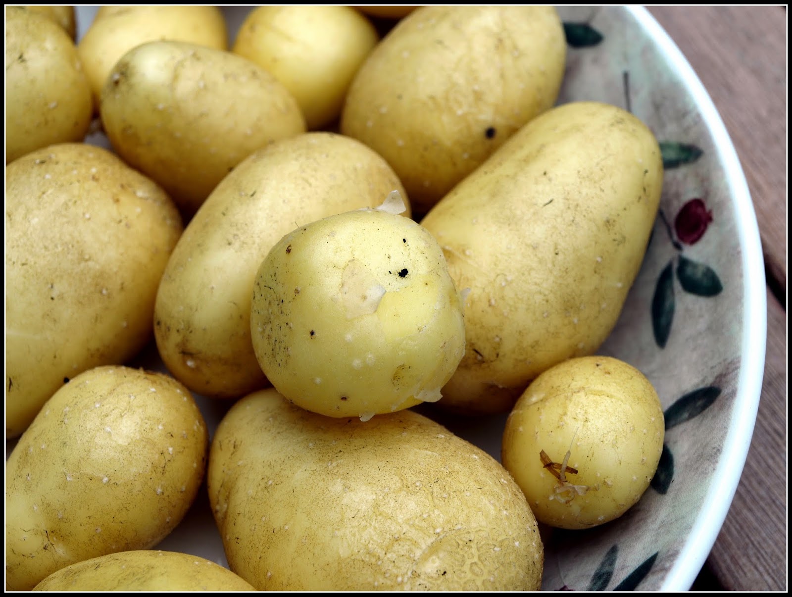 Mark's Veg Plot: The square potato