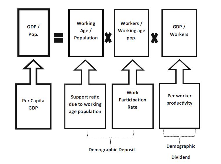 Demographic Dividend, Debt & Deposits
