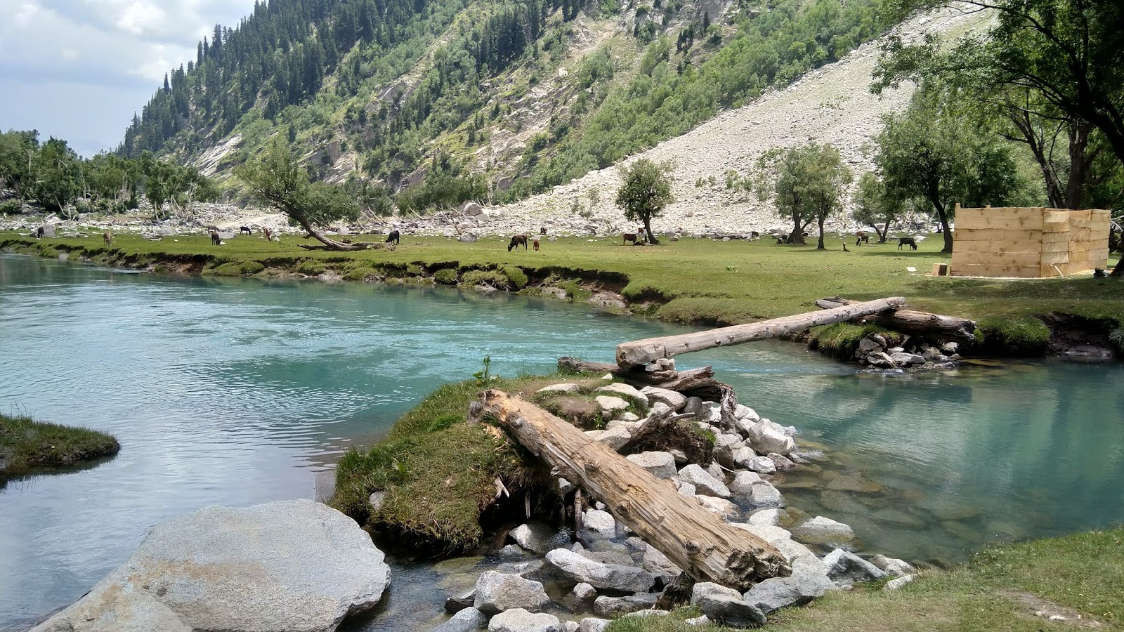 Muzzammil's Travels: June 2018: Swat - Gabral - Badhgoi Pass - Kumrat ...