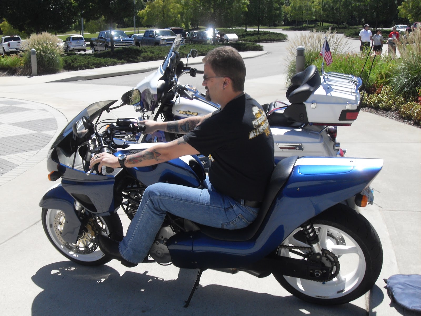 MotoSicklePics: Alligator Motorcycle