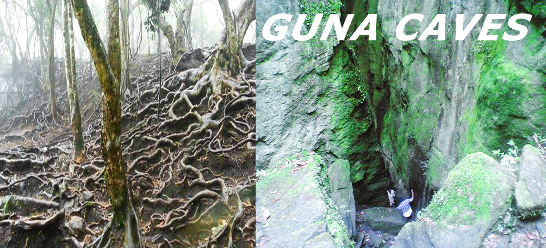 12 PLACES YOU SHOULD VISIT IN KODAIKANAL,TAMIL NADU,INDIA