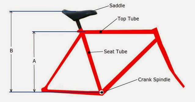 Road Bike Rider Information and Resources for Successful Cycling ...