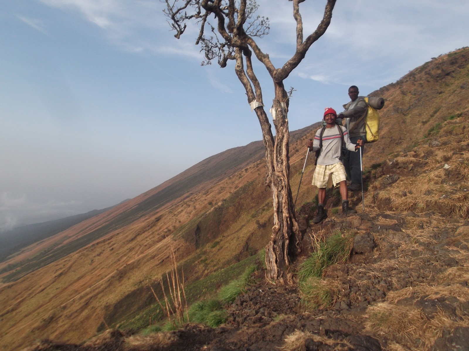 Les abricotiers: Mont Cameroun, Mont Fako (4095m).