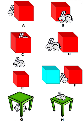 PREPOSITIONS OF PLACE / EXERCISE 2 ~ ENGLISHKITS