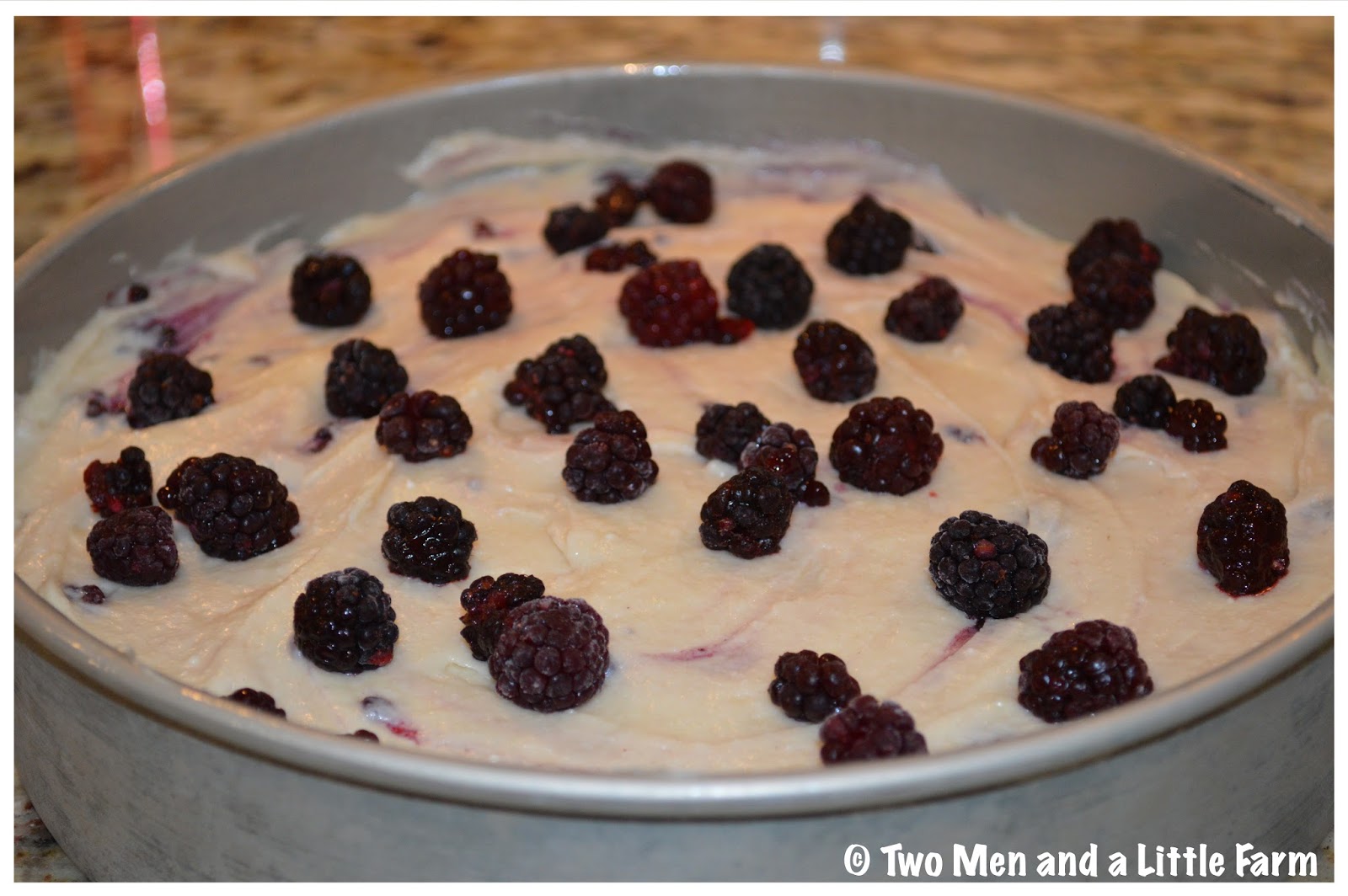 Two Men and a Little Farm: DEWBERRY CAKE RECIPE