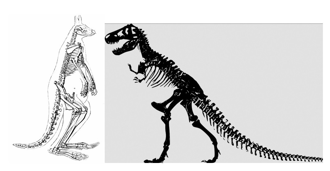 I'm genuinely curious. : r/Dinosaurs