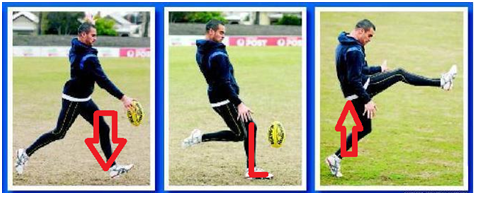 What are the optimal biomechanics for a drop punt in AFL?