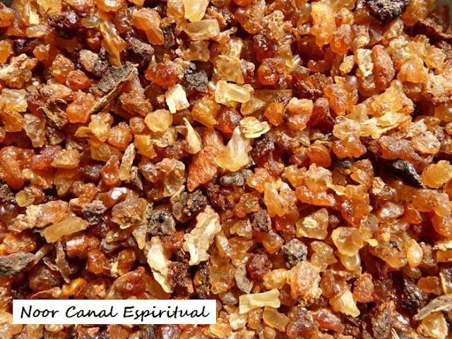 Noor Canal Espiritual : LA MIRRA - PROPIEDADES TERAPEUTICAS Y MAGICAS