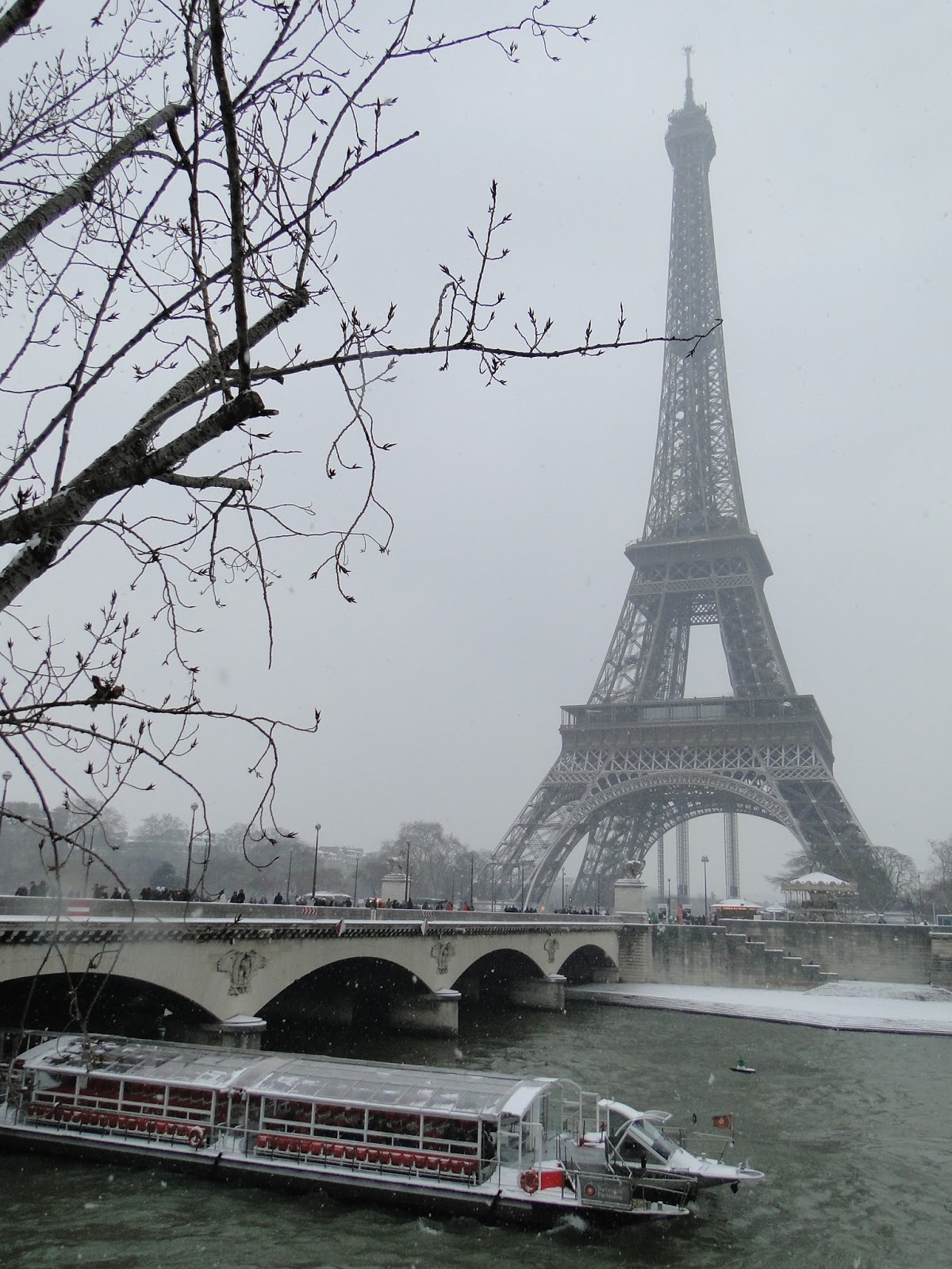 Fernanda vous contemple du haut de la Tour Eiffel: Paris sob a neve
