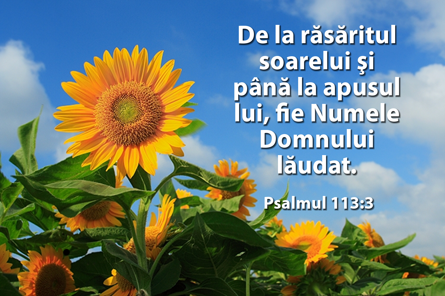 God's Will: New Graphics - Psalm 113:3 - English and Romanian