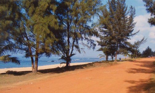 ELWA Palava Hut: PEPPER BIRD SPEAKS