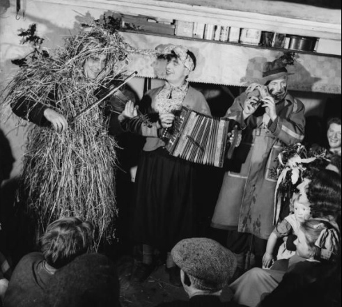 Journeying Through Life: Wren Day