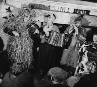 Journeying Through Life: Wren Day