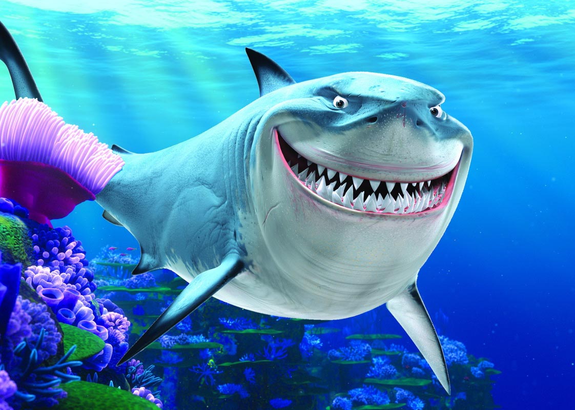7 Disney Pixar Animal Bruce From Finding Nemo Cartoon Wallpaper