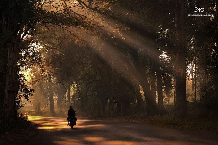 ClickArtzZ..!!!: Morning Shadow